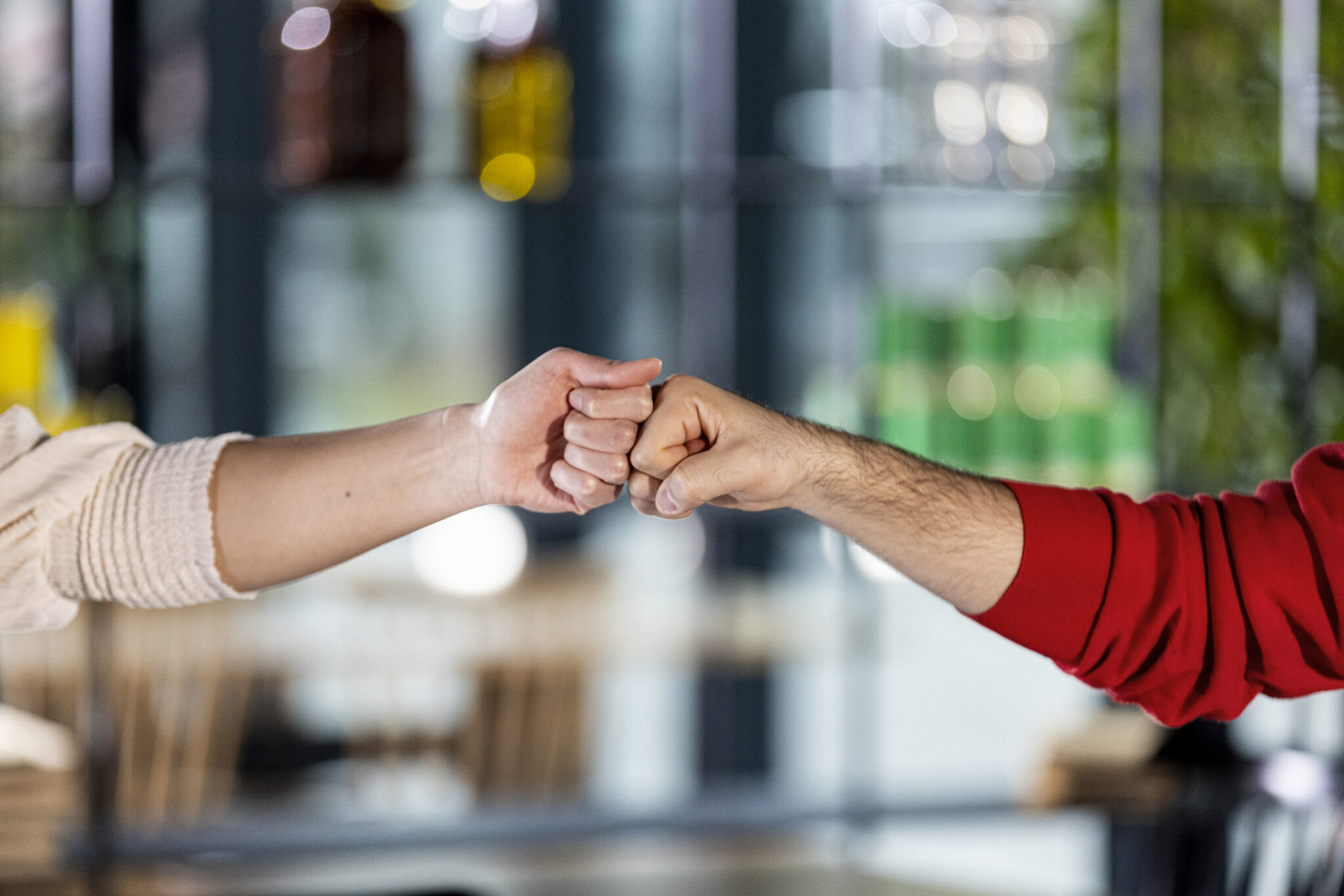 SAP AppHaus • Alliances – Partners trained in SAP AppHaus Methodologies