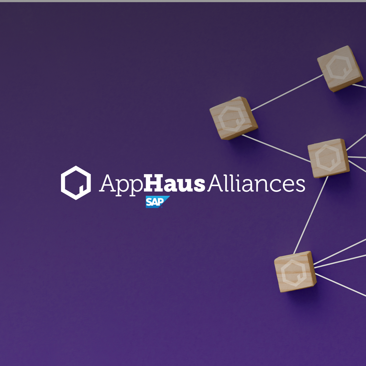 SAP AppHaus • Alliances – Partners trained in SAP AppHaus Methodologies