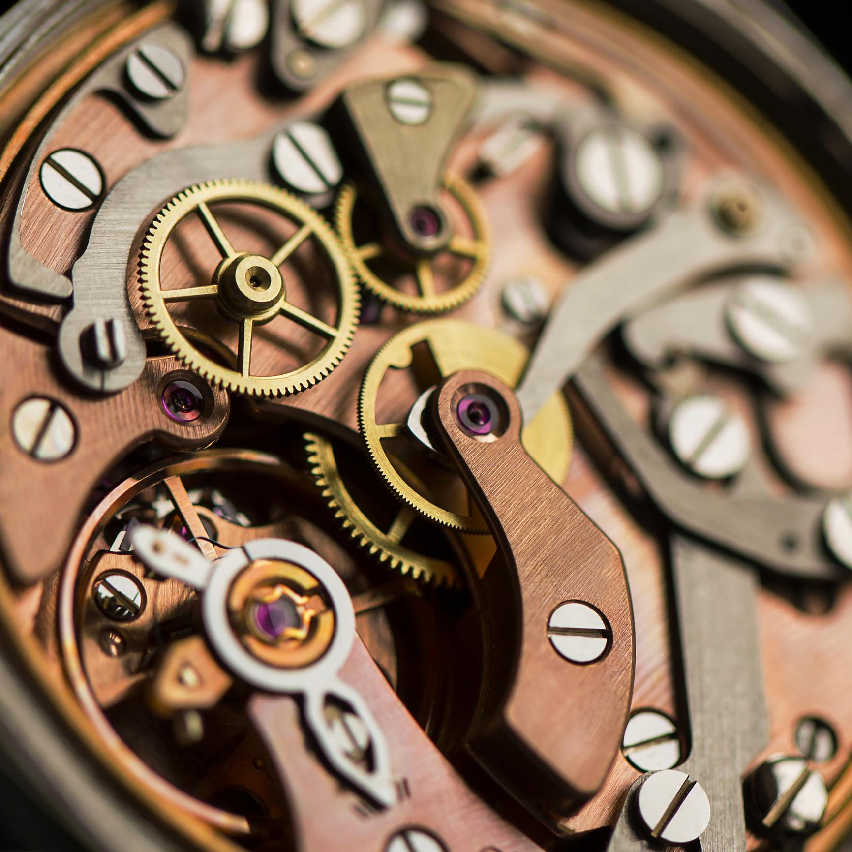 SAP AppHaus • The Watches of Switzerland Group and Bluestonex: Heading ...