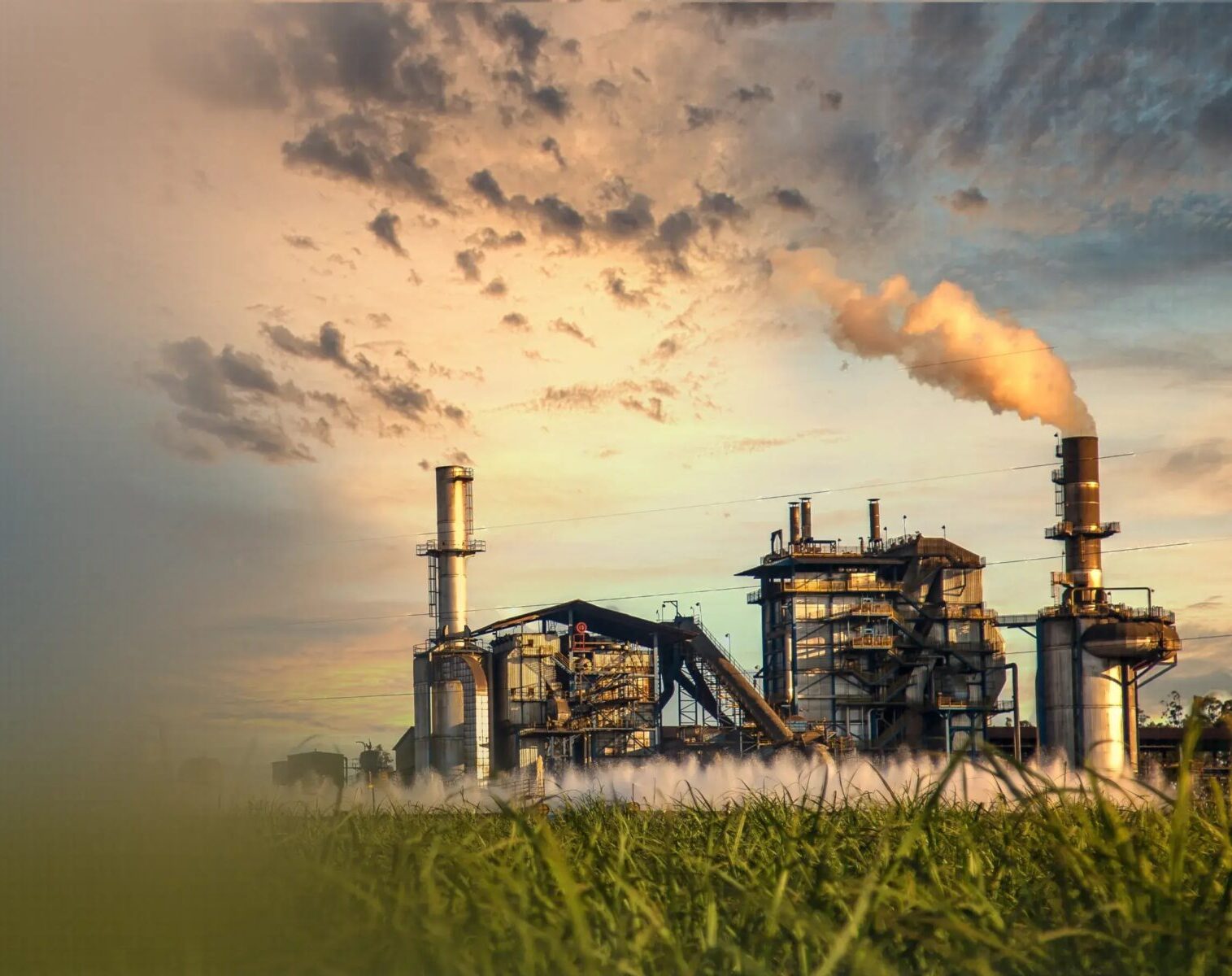 SAP AppHaus • Miami – LeverX